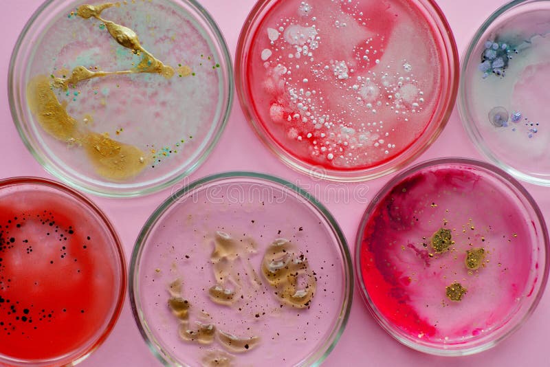 Growth of Different Bacterial Cultures, Concept. Bacteriological ...
