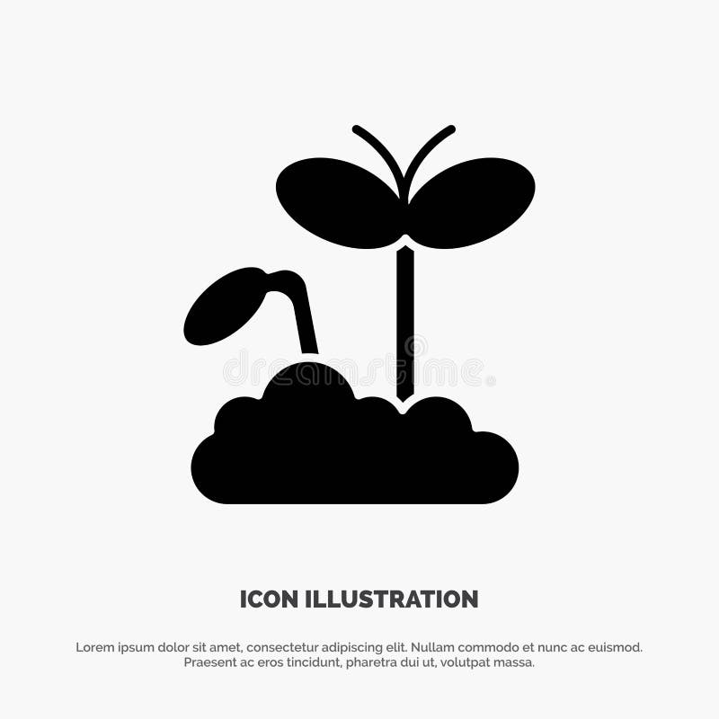 Growth, Increase, Maturity, Plant Solid Glyph Icon Vector Stock Vector ...