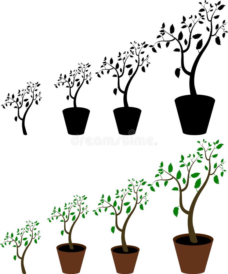 Tree Growth stock vector. Illustration of leaves, collection - 52530394