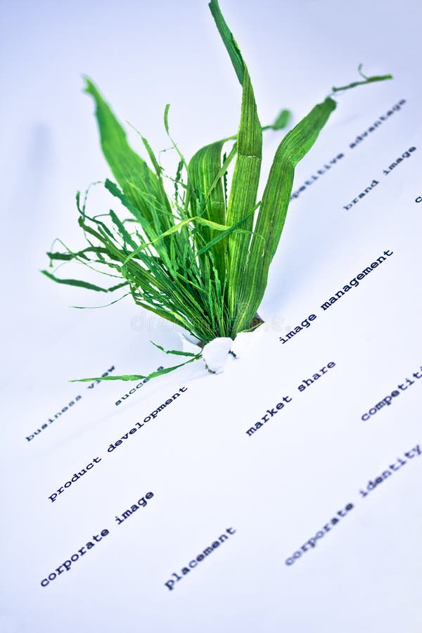 Growth of Influence of Sustainability in Business Stock Image - Image ...