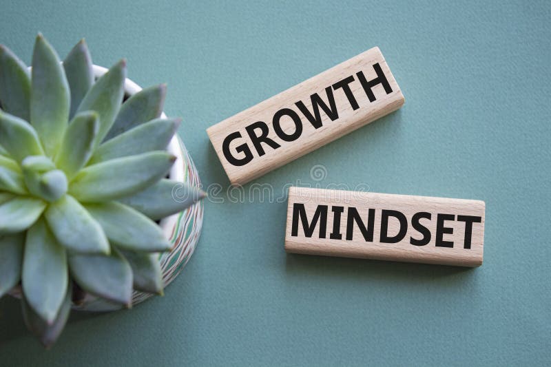 Growth Mindset Symbol Concept Word Growth Mindset On Wooden Blocks