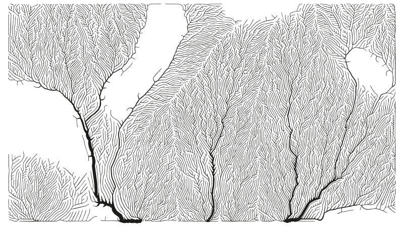 Growth Pattern. Generative Branching Structure. Organic Net of Vessels ...