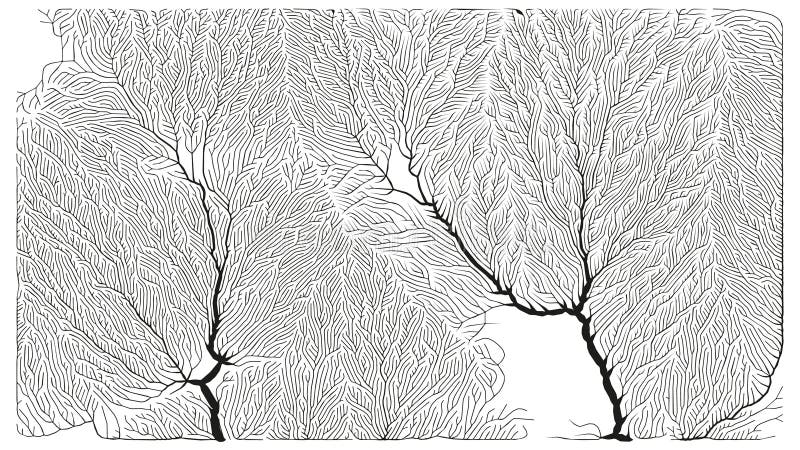 Growth Pattern. Generative Branching Structure. Organic Net of Vessels ...