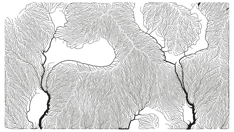 Growth Pattern. Generative Branching Structure. Organic Net of Vessels ...