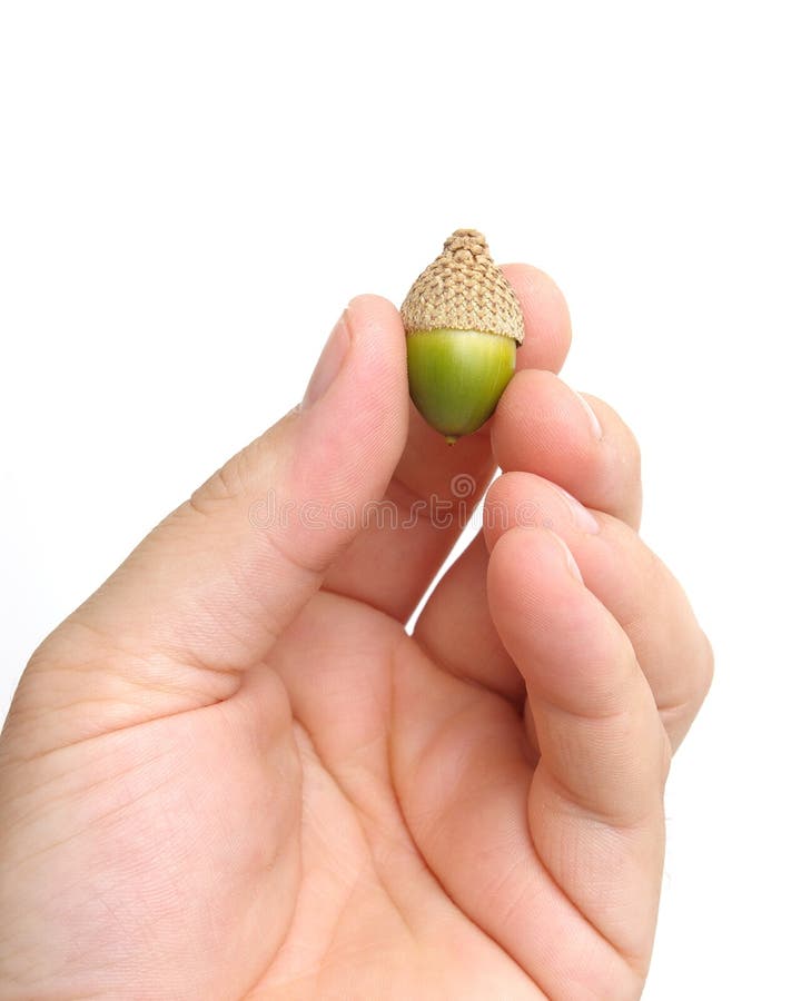 Growth Potential stock photo. Image of mature, growth - 1402248