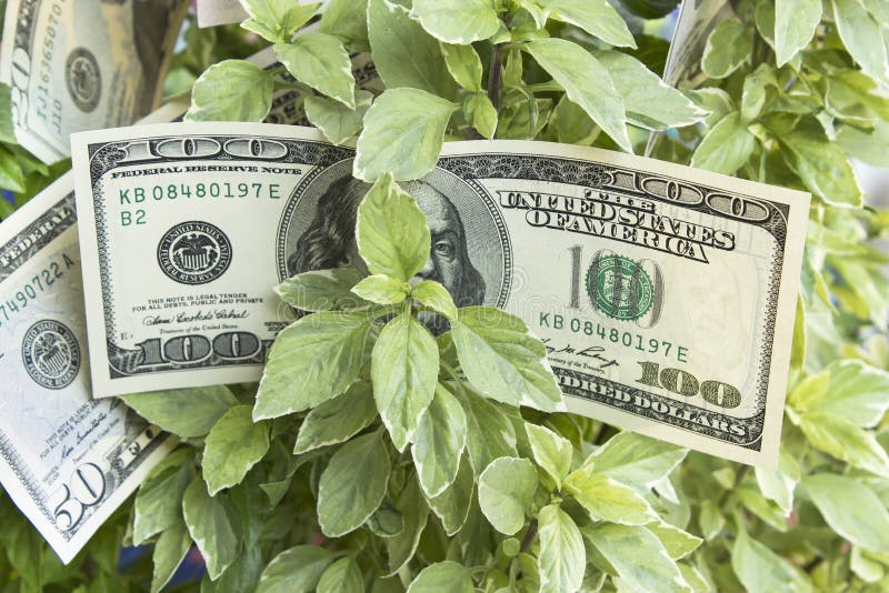 Growth in Profit, Money, Earnings Stock Photo - Image of account, easy ...