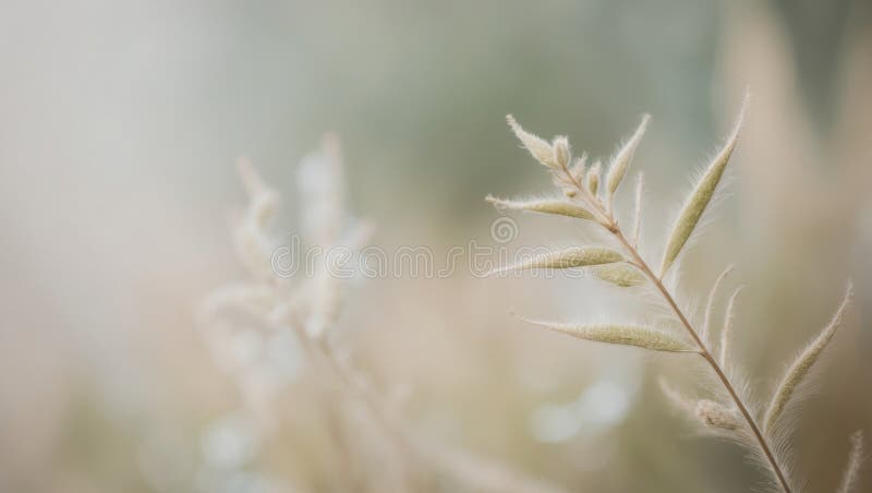 Growth and Renewal in Nature S Subtle Beauty. Stock Photo - Image of ...