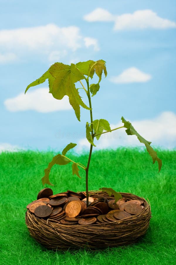 Growth in Your Savings stock photo. Image of finances - 11275184