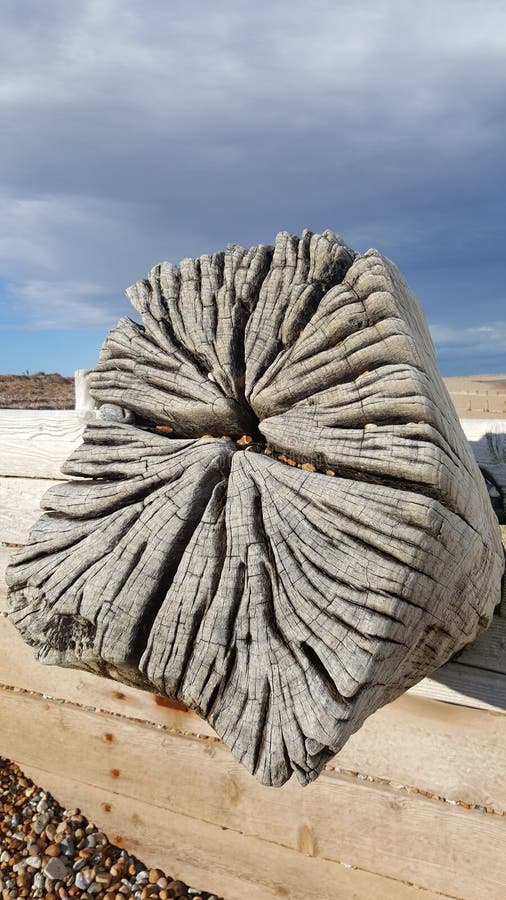 Supporting Groyne Stock Photos - Free & Royalty-Free Stock Photos from ...