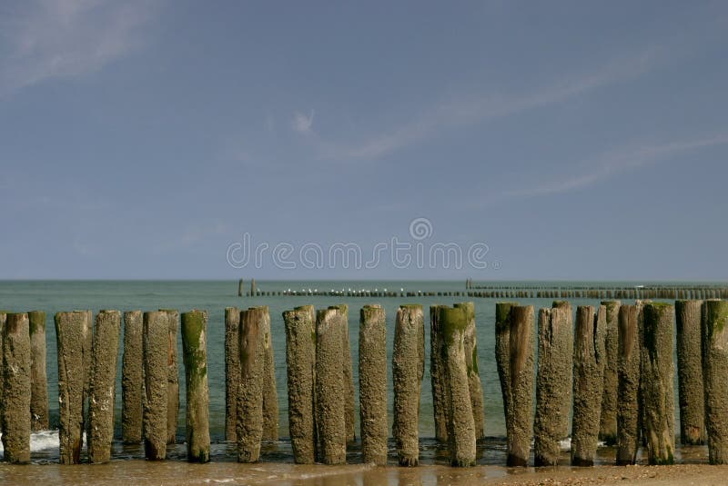 Groynes stock image. Image of post, breakwater, seaside - 319879