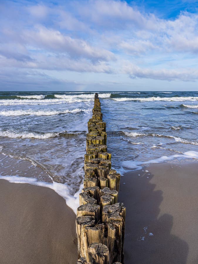 Groynes on Shore of the Baltic Sea in Graal Mueritz, Germany Stock ...