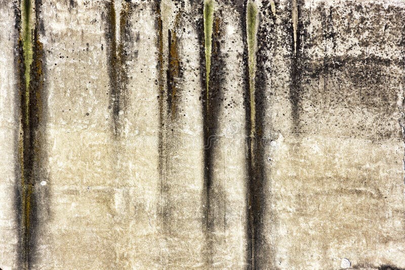 Texture grudge paper stock photo. Image of cardboard - 12441848