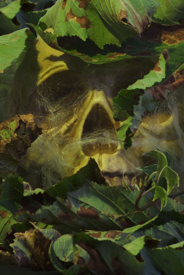 Gruesome Discovery stock photo. Image of scare, murder - 16132902