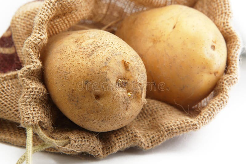 Grula zdjęcie stock. Obraz złożonej z grupa, gotowanie - 15554474