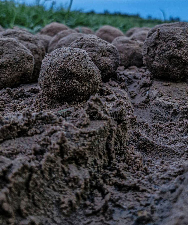 Grumos De Arcilla Arcilloso Foto de archivo - Imagen de planta, piedras ...