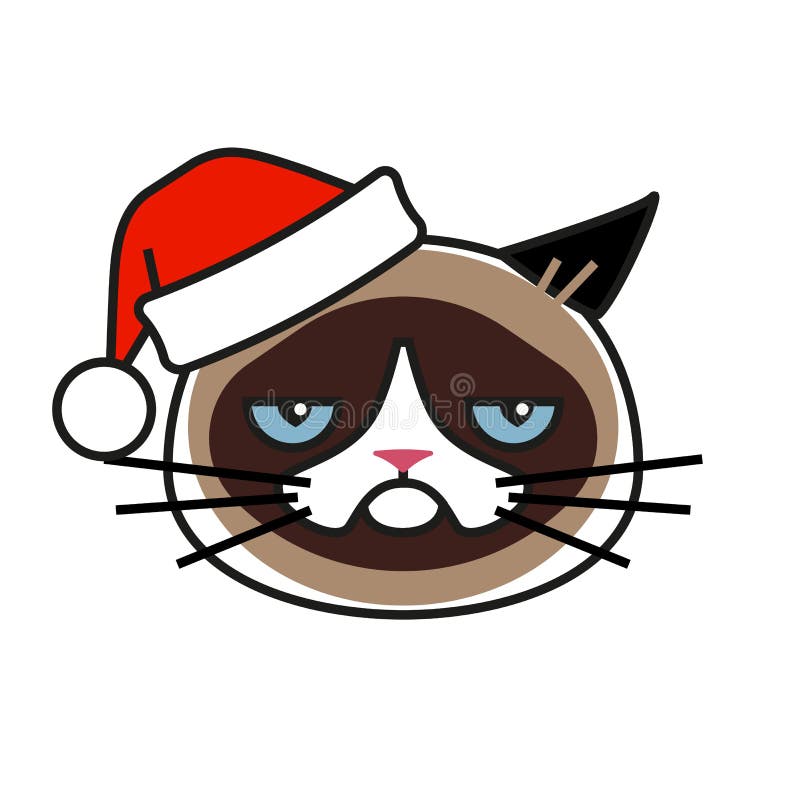 Shy Grumpy Cat. Meme Cat Isolated Whitebackground Stock Vector ...