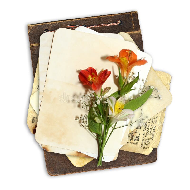 Grunge Album with Paper Stack and Flowers Stock Illustration ...