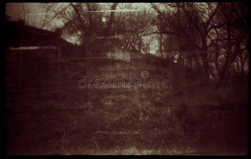 Grim Wood Grain Stock Photos - Free & Royalty-Free Stock Photos from ...