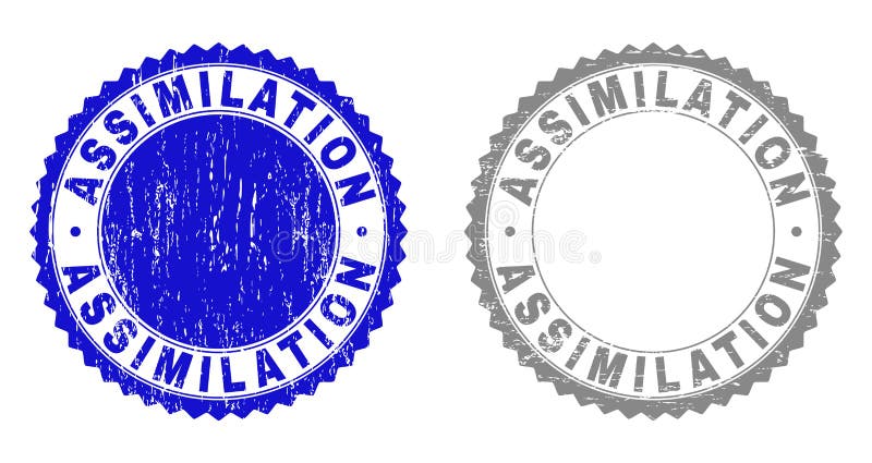 Assimilation word cloud stock vector. Illustration of education - 146576389