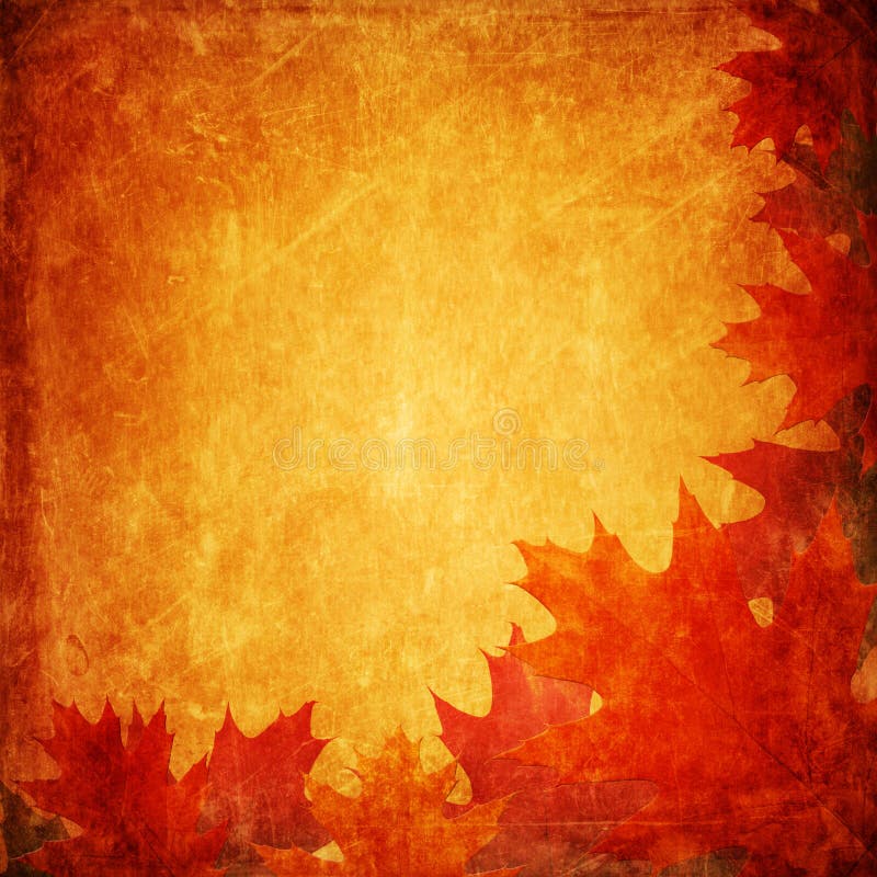 Thanksgiving Leaves on an Old Paper Background Stock Photo - Image of ...