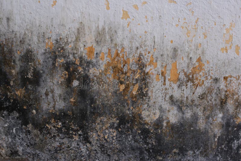 Grunge Bacground Textured Decayed Wall Stock Illustration ...
