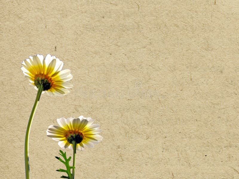 Spoiled Flower Stock Illustrations – 84 Spoiled Flower Stock ...