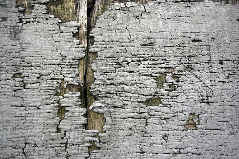 1,824 White Wood Ruined Background Stock Photos - Free & Royalty-Free ...