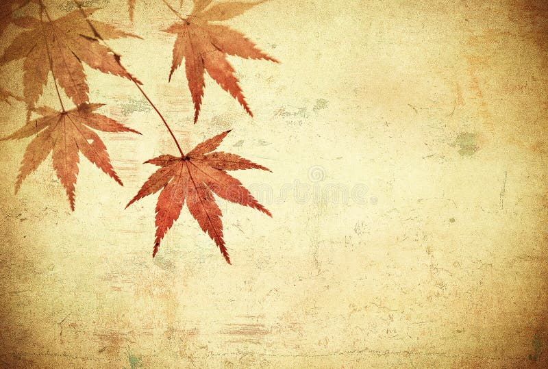Grunge Background with Autumn Leaves Stock Illustration - Illustration ...