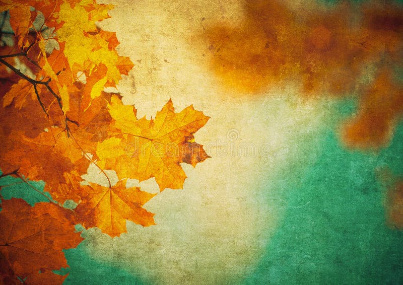 Grunge Background with Autumn Leaves Stock Illustration - Illustration ...