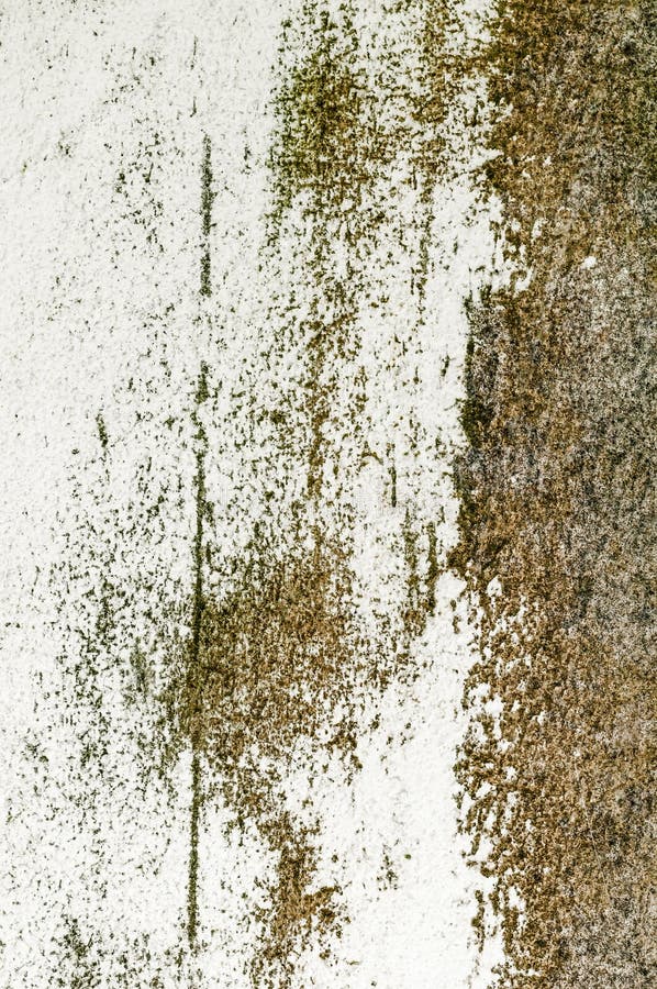 Grunge Background Brown Texture Wall Rustic Rust Old Organic Mildew ...