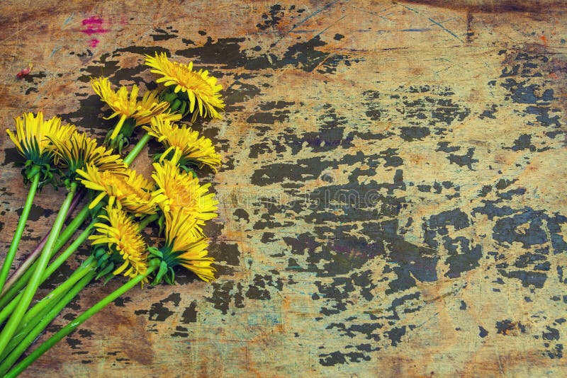 Grunge Background with Flowers Stock Image - Image of fresh, pattern ...