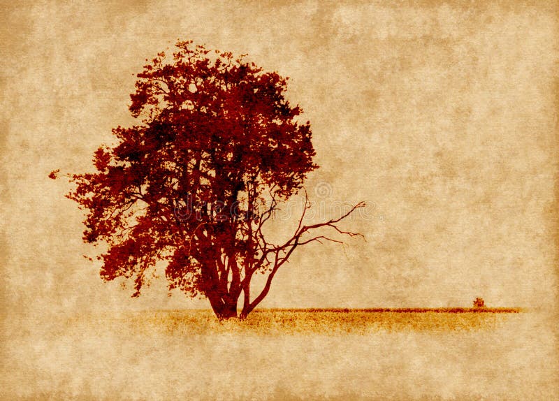 Grunge Background with Pine Tree Stock Illustration - Illustration of ...