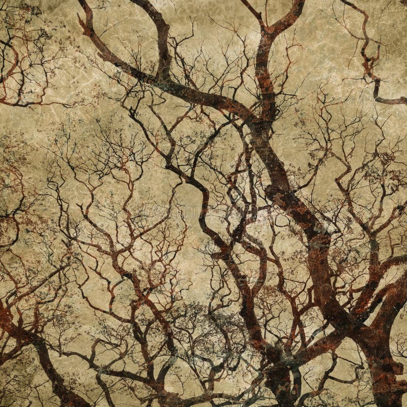 Grunge Background with Tree Silhouettes Stock Illustration ...