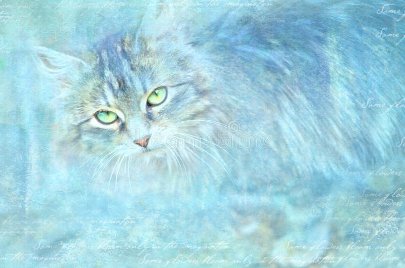 Grunge Blue Background with Cat Theme. Abstract Texture Background ...