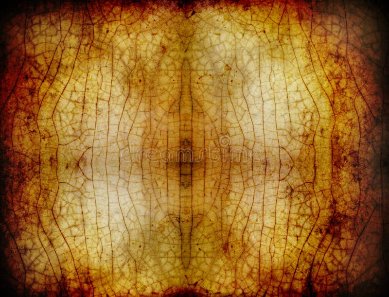 296 Scratchy Border Stock Photos - Free & Royalty-Free Stock Photos ...