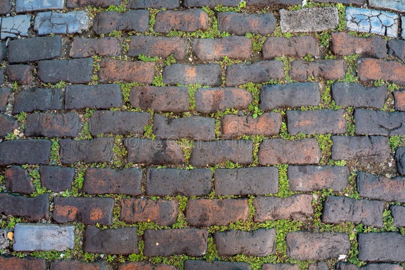 Grunge Brick Pathway with Moss Stock Image - Image of yard, timeworn ...