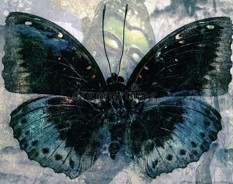 Grunge Butterfly Background Texture Stock Illustration - Illustration ...