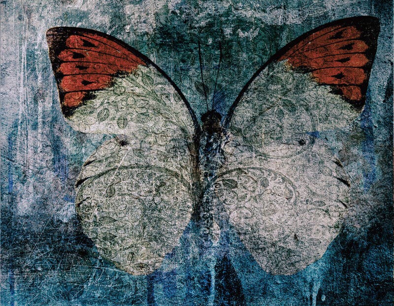 Grunge Butterfly Background Texture Stock Image - Image of blue ...