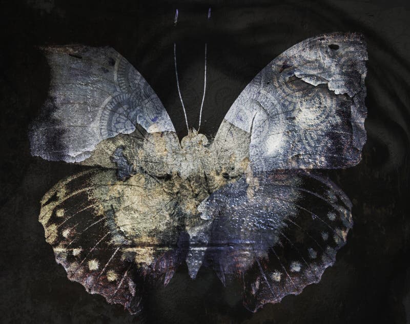 Grunge butterfly stock illustration. Illustration of abstract - 87921611