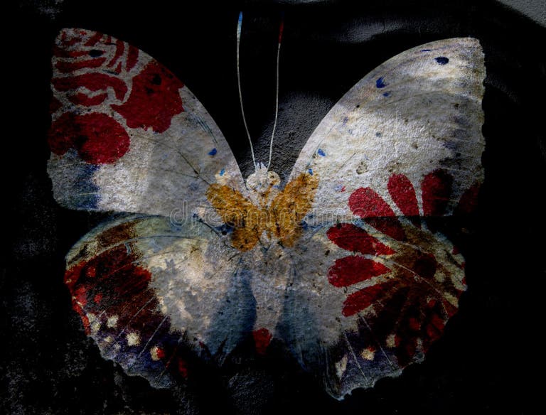 Grunge butterfly stock illustration. Illustration of butterfly - 87921714