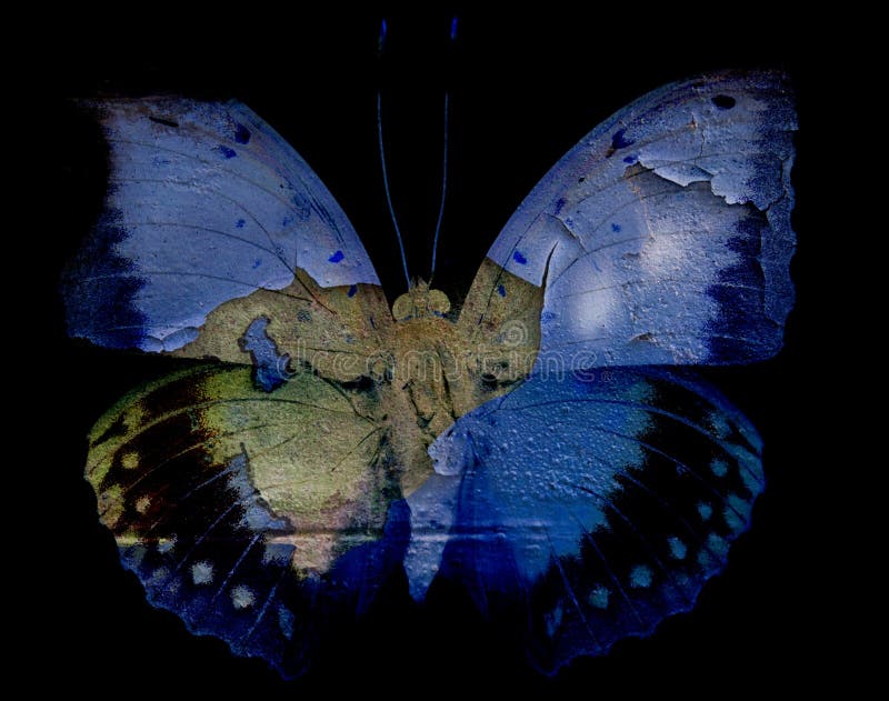 Grunge butterfly stock illustration. Illustration of spring - 87921335