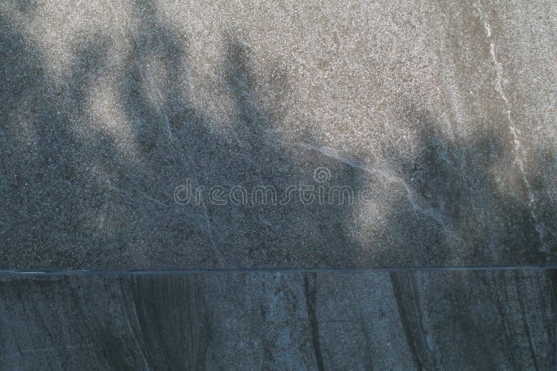 Grunge Cement Shadow Leaves Background and Texture. Dirty Pattern Floor ...