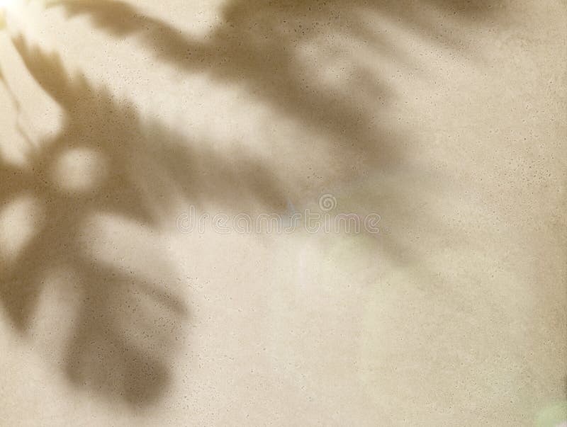 Grunge Cement Texture Wall Leaf Plant Shadow Background Stock Image ...