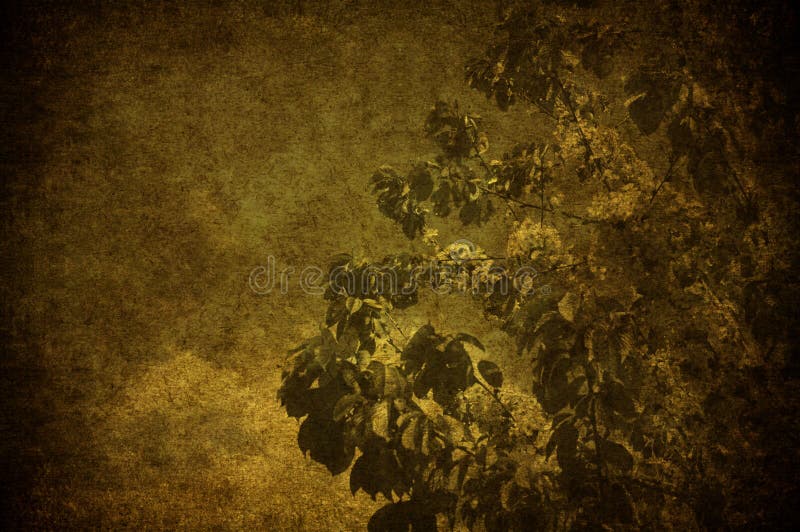 Grunge cherry tree stock image. Image of grunge, calla - 15748477