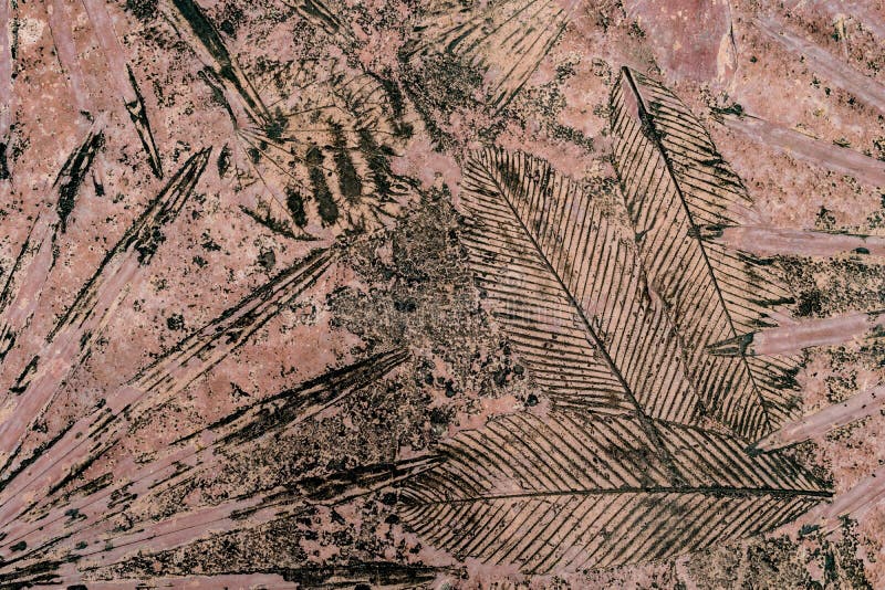 181 Leaf Concrete Stamp Stock Photos - Free & Royalty-Free Stock Photos ...