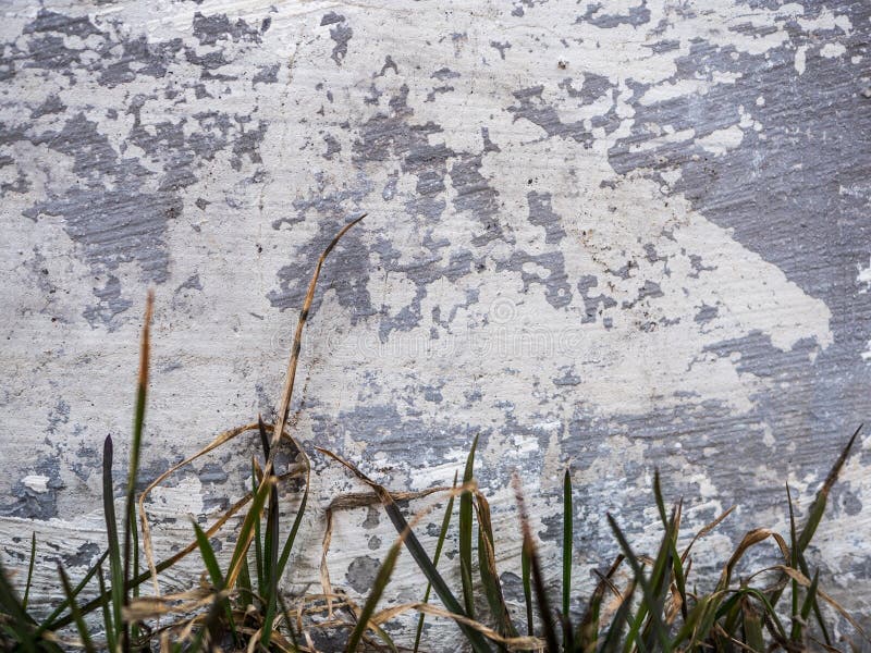 Grunge Concrete Texture, for Backgrounds Stock Image - Image of cement ...