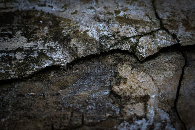 Grunge concrete texture stock photo. Image of wall, grungy - 175790748
