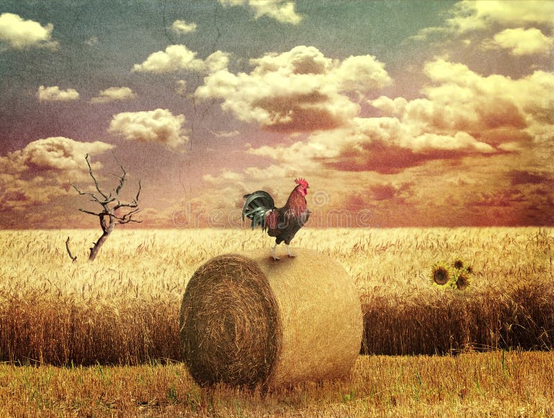 Country Landscape in Svaneti Stock Photo - Image of landmark, svaneti ...