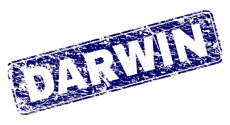 Grunge DARWIN Framed Rounded Rectangle Stamp Stock Vector ...