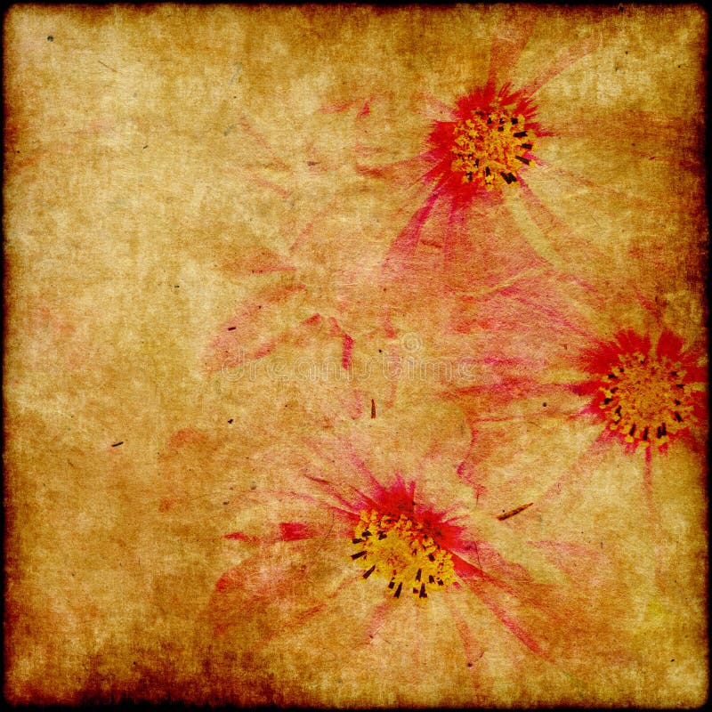 Grunge Elegance Flower Paper Stock Photo - Image of frame, holiday ...